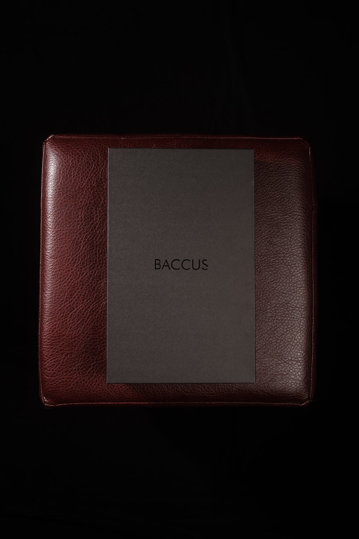 Baccus - Camisas, gravatas, echarpes e lenços para homem